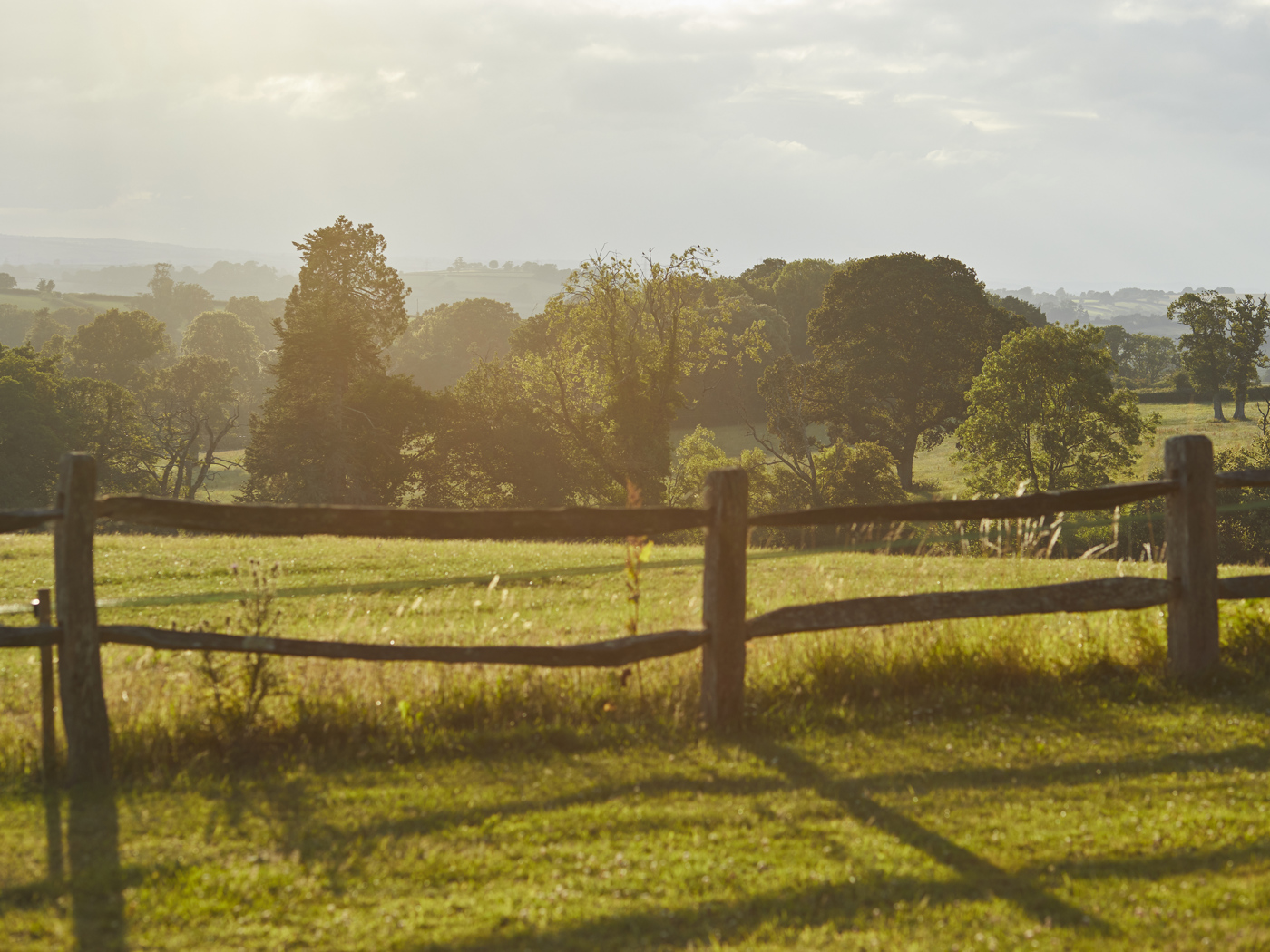 About THE PIG hotels and restaurants - THE PIG - THE PIG